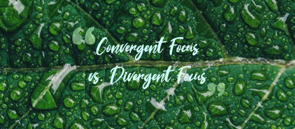 How To Use Convergent and Divergent Focus to Increase Your Awareness ...