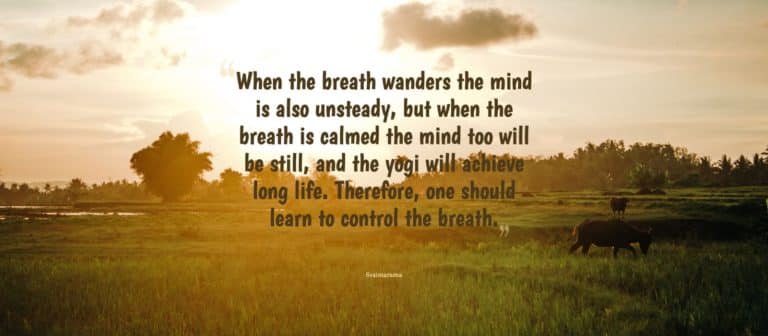 8 Breath Techniques That Will Raise Your Energy Instantly - The Joy Within