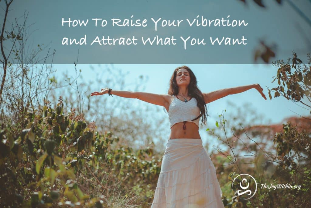 How To Raise Your Vibration To Attract What You Want - The Joy Within