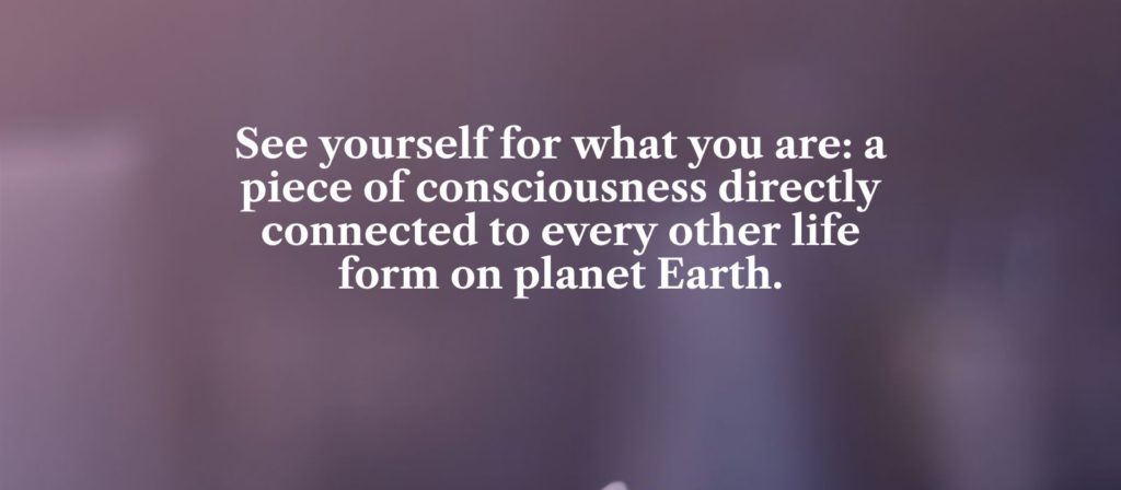 Guided 6 Phase Meditation by Vishen Lakhiani - The Joy Within