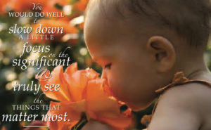 Mindfulness Exercises to Improve Your Sense of Smell - The Joy Within