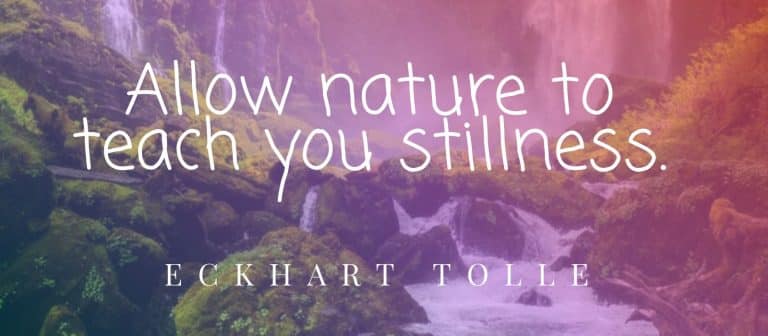 12 Eckhart Tolle Quotes on Stillness and Becoming Aware of Awareness