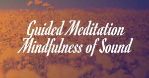 Guided Mindfulness Sound Meditation Technique and Exercise