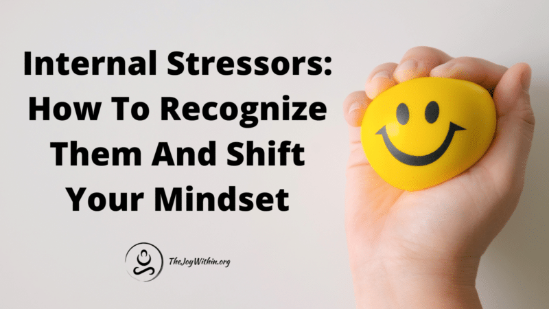 Internal Stressors: How To Recognize Them And Shift Your Mindset - The ...